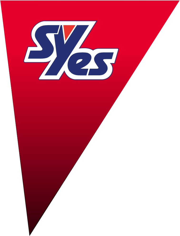 Built to Perform - syes.eu